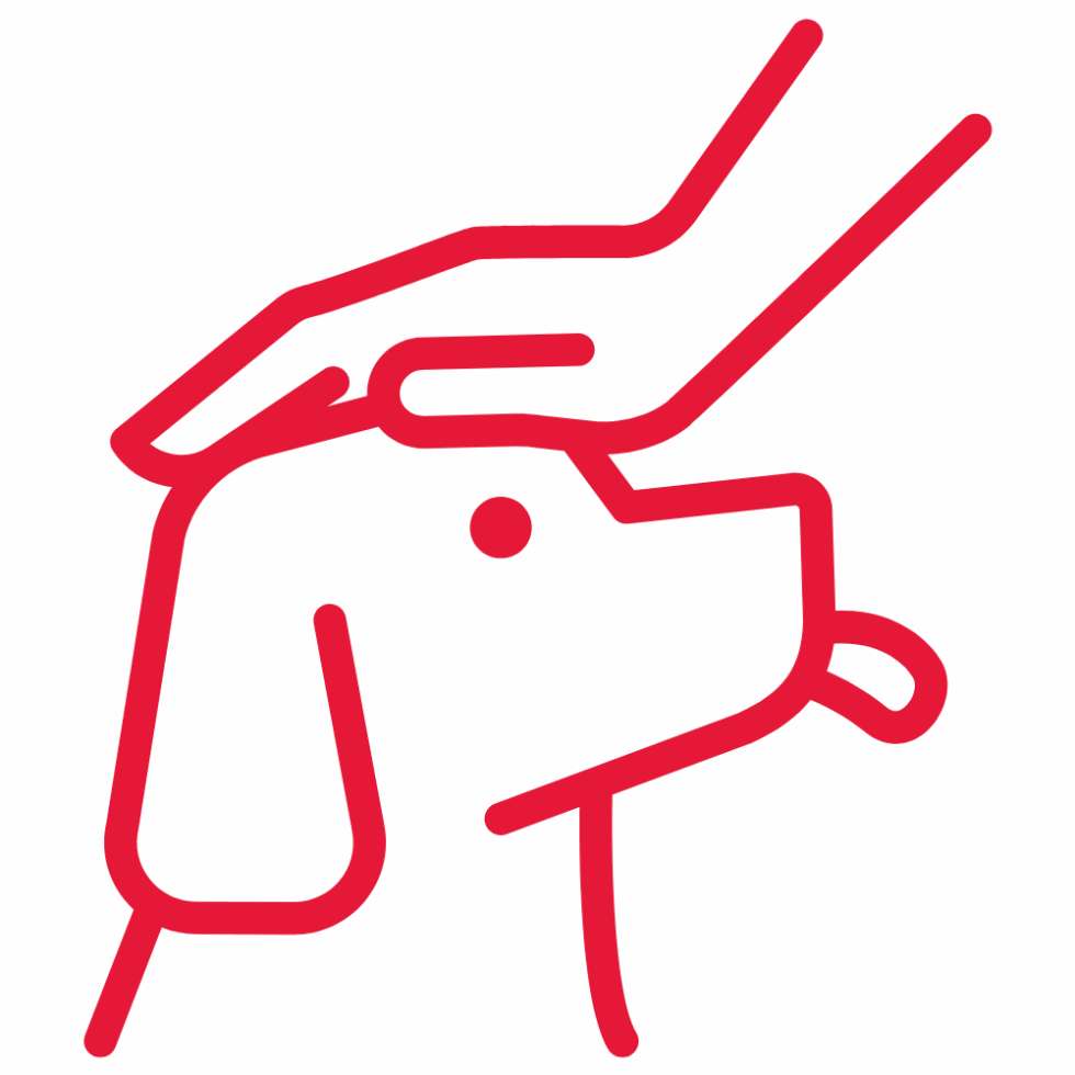 Best Vet Hospital in Justin, TX 76247 | Justin Animal Hospital