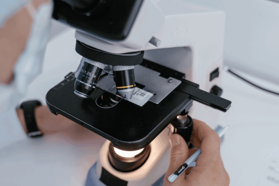 Pet In-House Imaging & Diagnostics in Justin, TX | Justin Animal Hospital